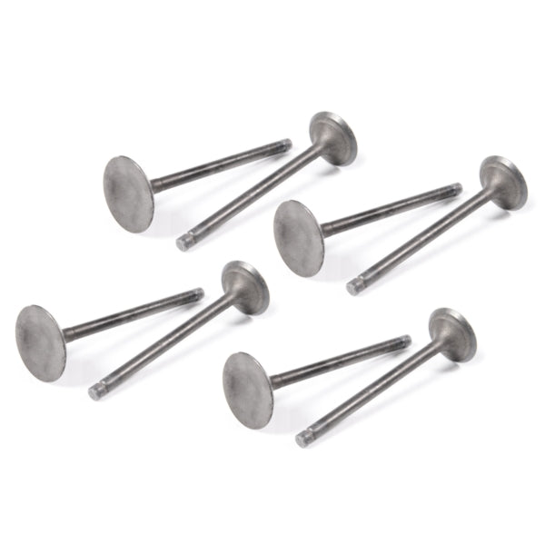 ENGINE VALVE SET – Peterborough Powersports